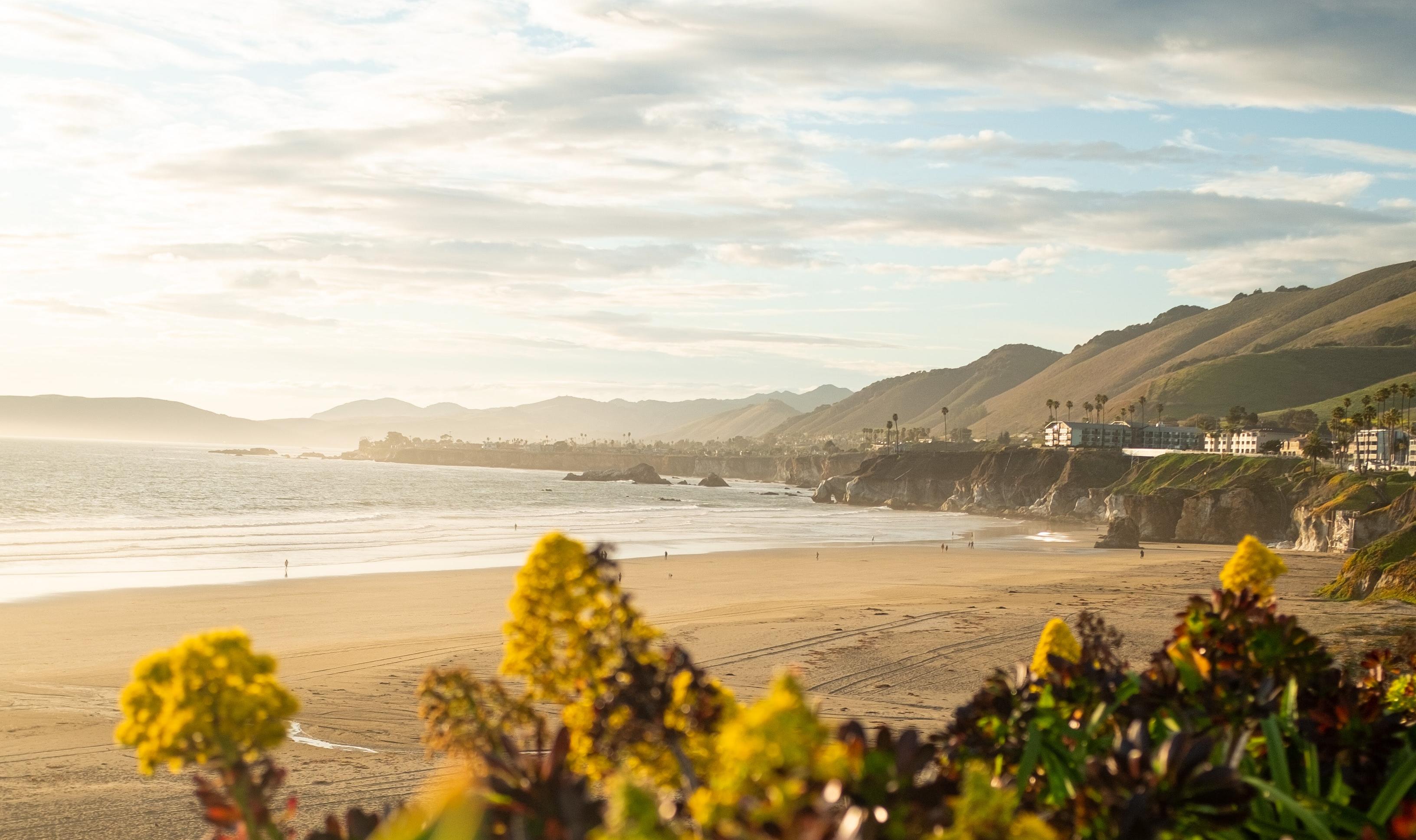 "April in California", written by AI | Eclectic Beams